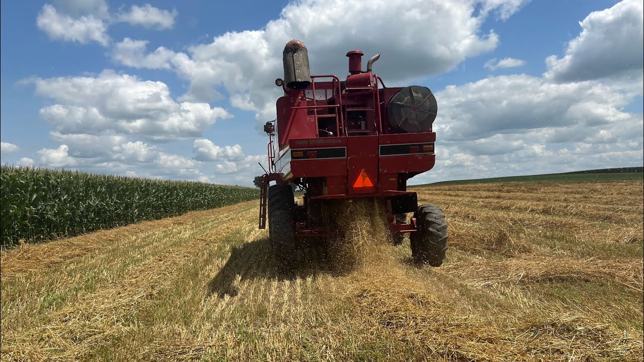 Combining oats - YouTube