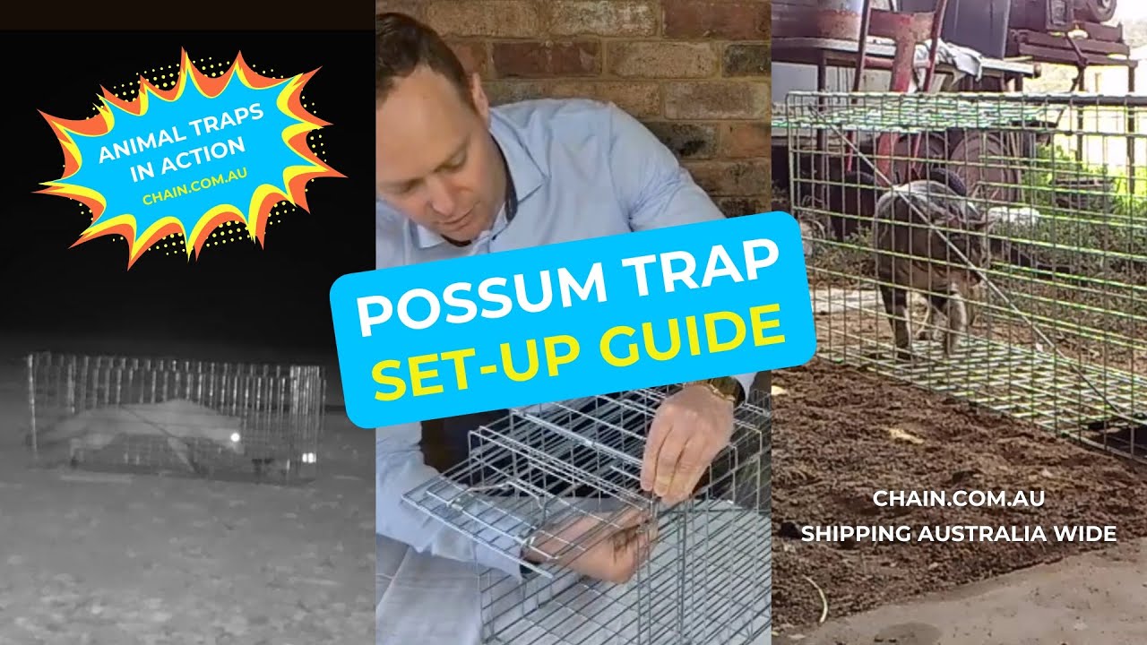 Set Up Possum Trap - How To - YouTube