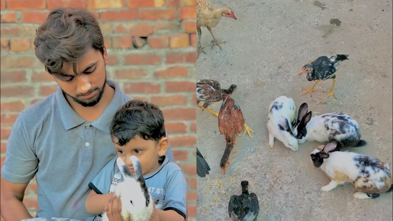 []ibrahim sy pehly rabit nhi pakra geya phr bad may ibrahim ki rabit sy ...