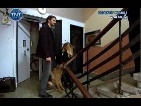 Dedektif Memoli 10.Bölüm Full (Tek Parca) Part 1