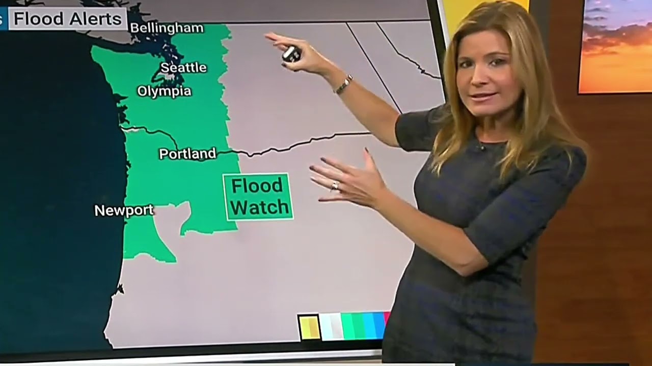 Jen Carfagno - The Weather Channel - 111121 - Grey Dress - Easy On The ...