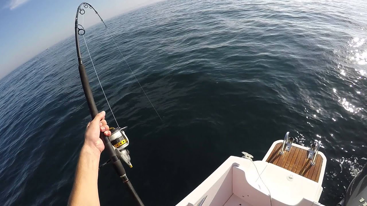 Bluefin Tuna Popping October 2015 - YouTube