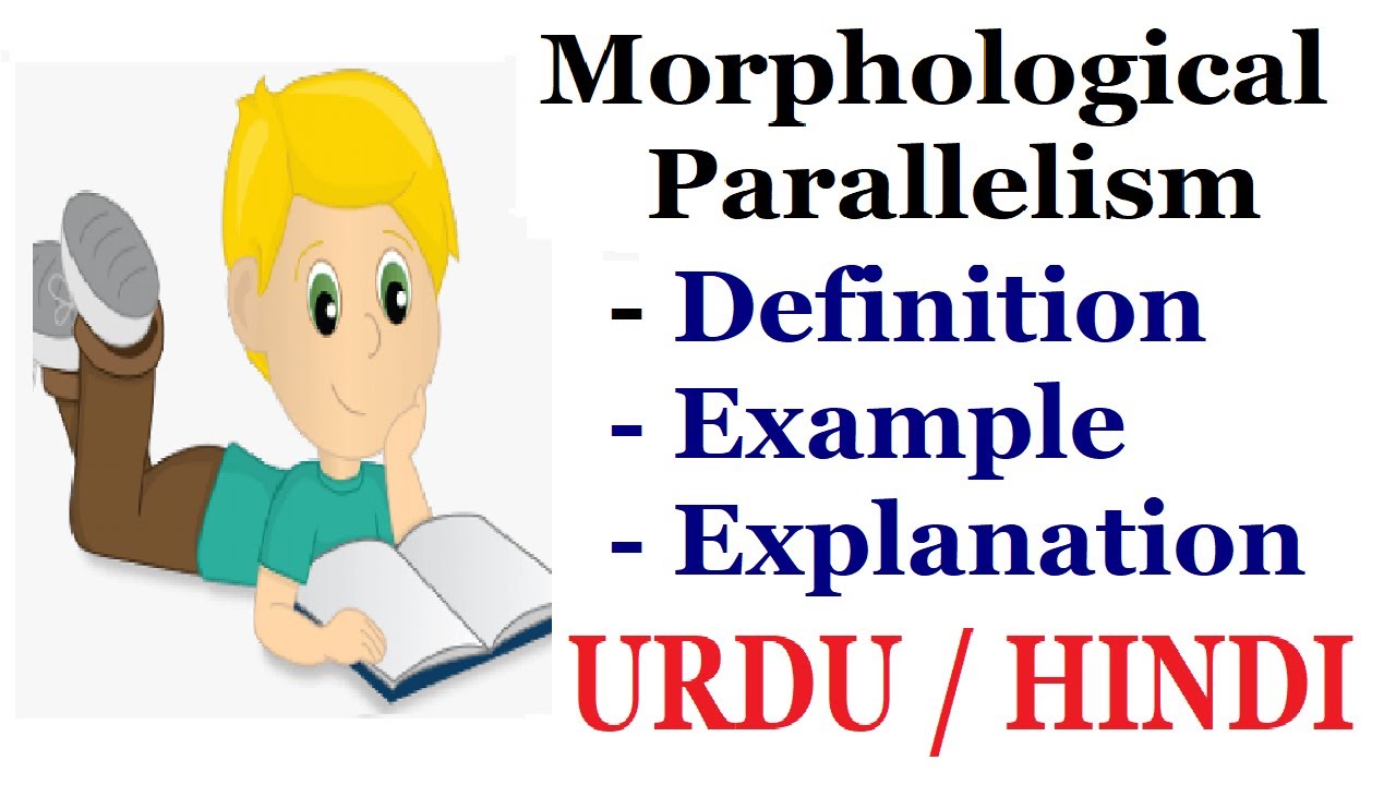 What Is Morphological Parallelism Hindi Urdu YouTube what-is-morphological-parallelism-hindi-urdu-youtube