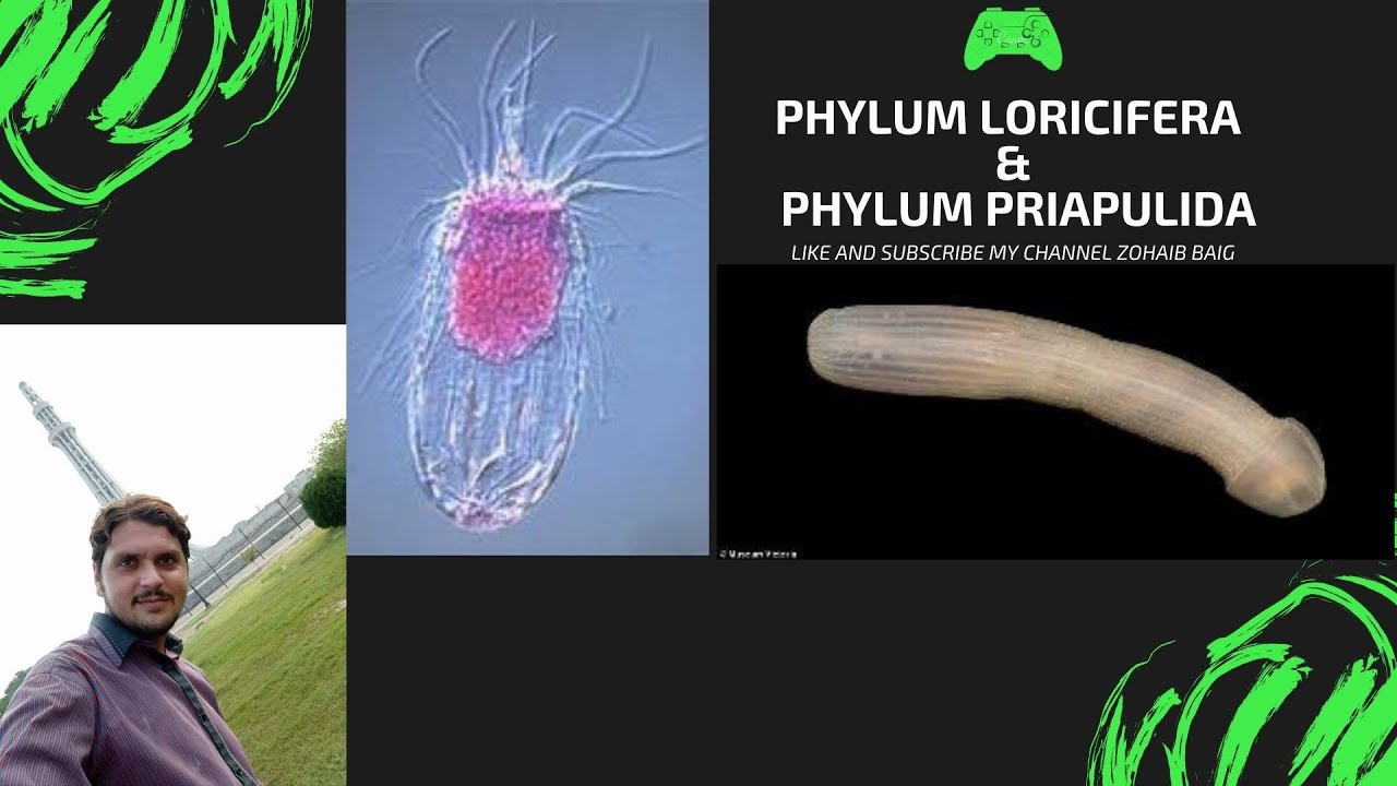 PHYLUM LORICIFERA - YouTube