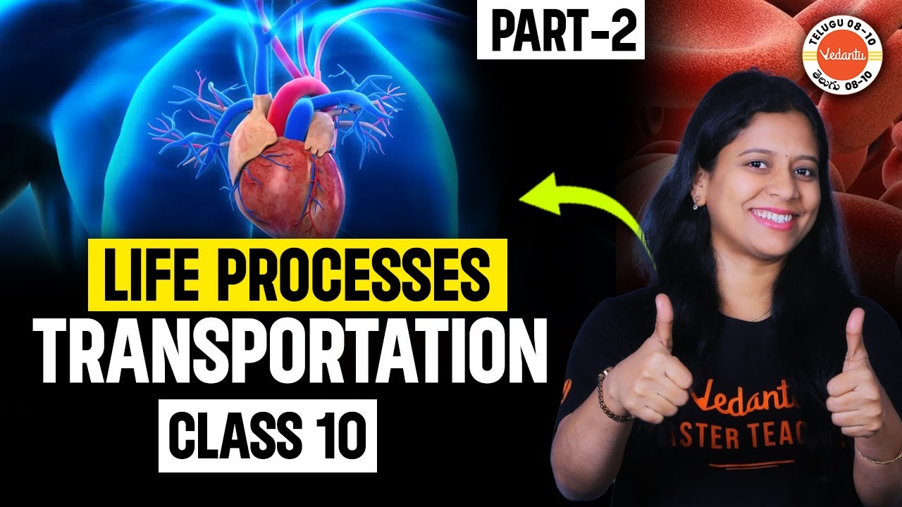 Part 2 Life Processes | Transportation Class 10 @vedantutelugu8910 # ...