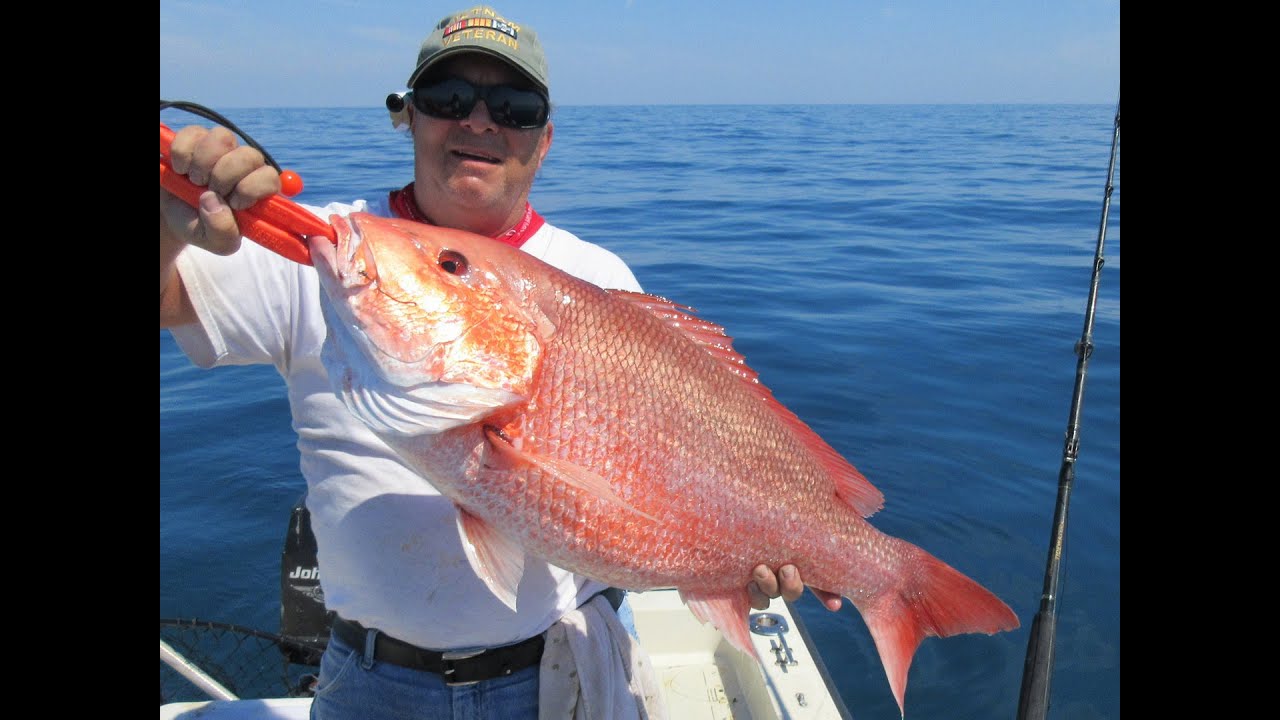 Big Rigs = Big Fish - YouTube