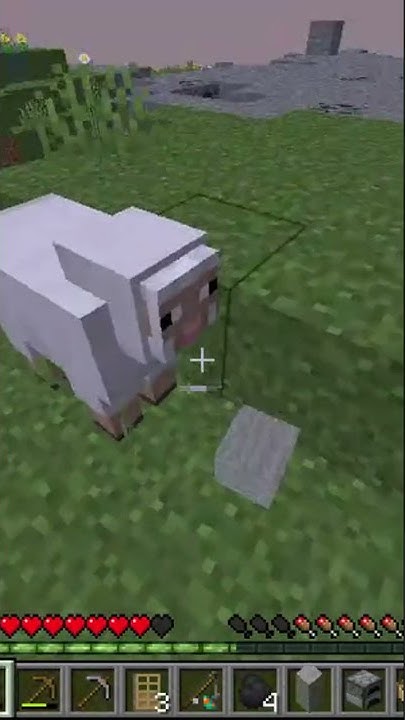 Minecraft But I Have A Telekinesis Rod - YouTube