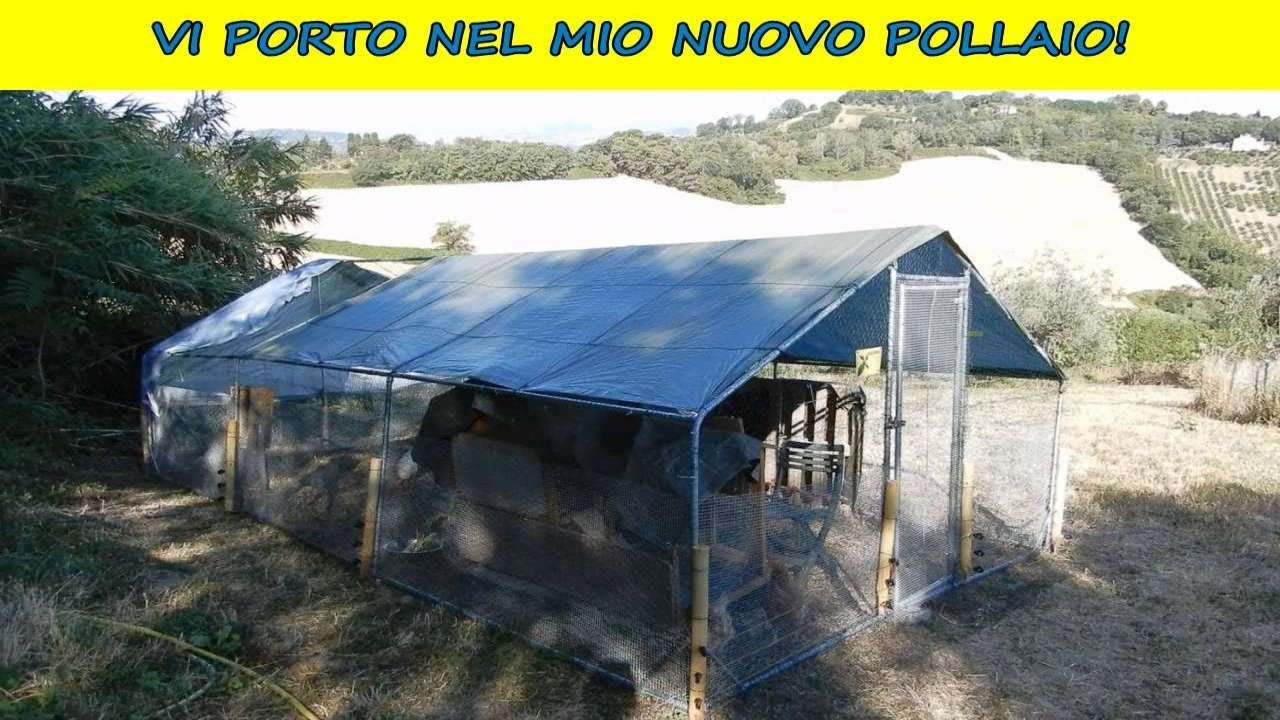 In questo video vi mostro il mio nuovo pollaio e come proteggo le mie ...