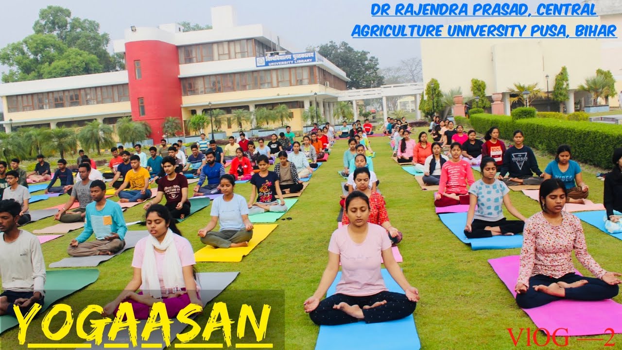 YOGASAN RPACU Regular activity YOGA TRAINING 💖RPCAU STUDENTS YOGA 🧘‍♀️ ...