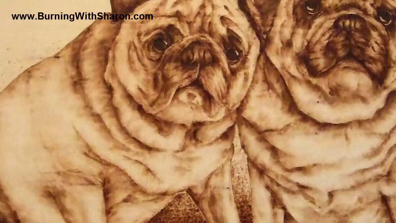 Pyrography: How to Burn Smooth Shading on Dogs - YouTube