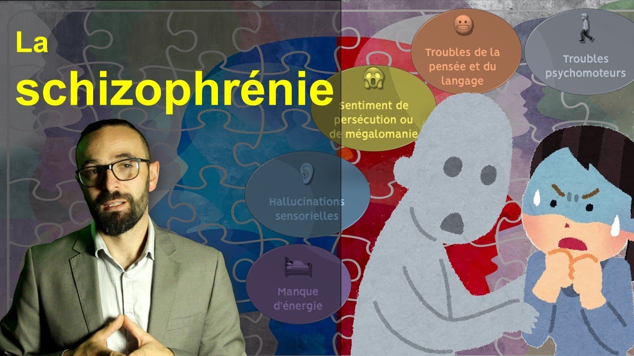 🧠 La schizophrénie - YouTube