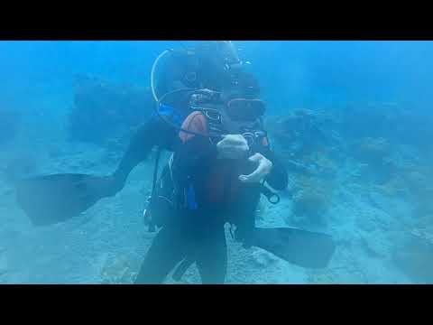 Diving scuba Taiwan - Green Island | Taiwan Travel 2020 - YouTube