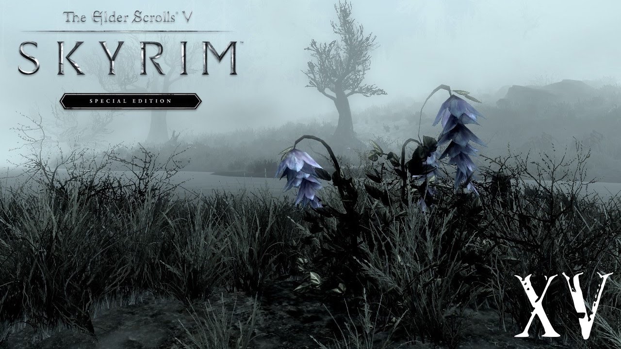 Finding Helgi | Skyrim Special Edition Walkthrough [15] - YouTube