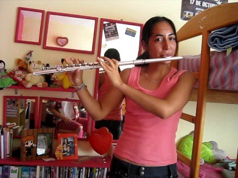 los simpsons flute - YouTube