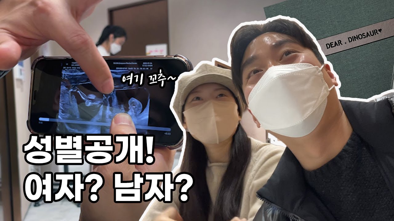 임신 브이로그2 오늘을 기다렸어~👏👏 드디어 16주차 진입 공룡이 성별은욧 기념으로 초음파 사진 정리하기 Youtube
