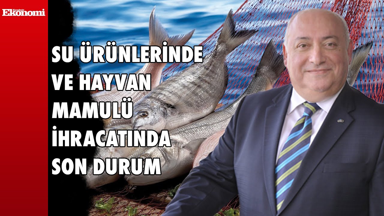 SU ÜRÜNLERİ VE HAYVAN MAMULÜ İHRACATINDA SON DURUM | BEDRİ GİRİT ...