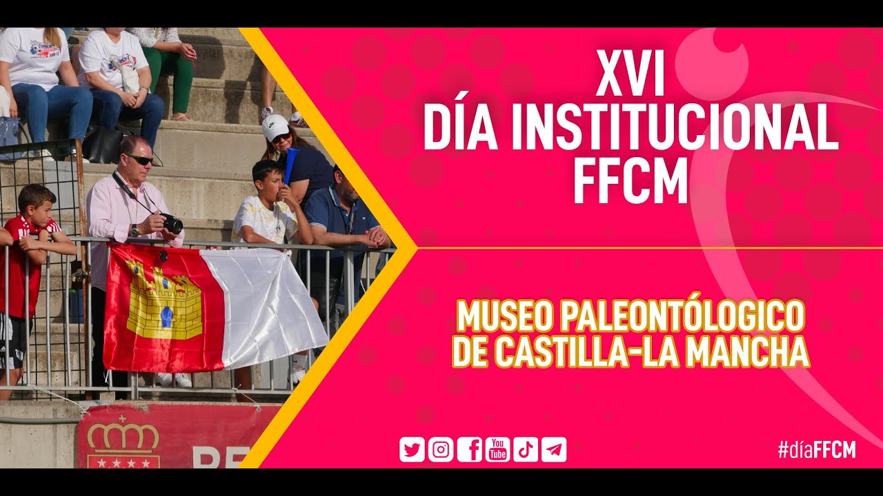 XXVI Día Institucional FFCM - YouTube