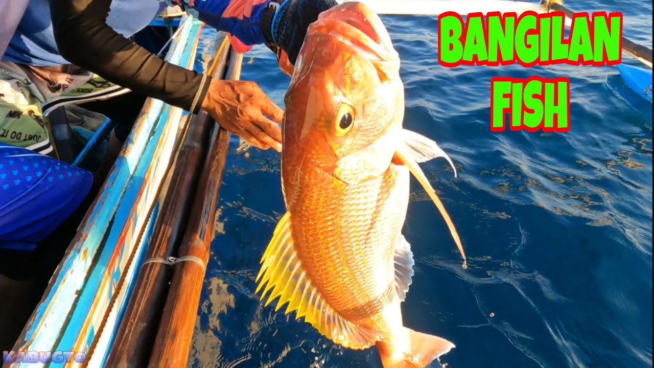 vlog342- Dumayo Kami | Malaking BANGILAN fish Nahuli Part 1 - YouTube
