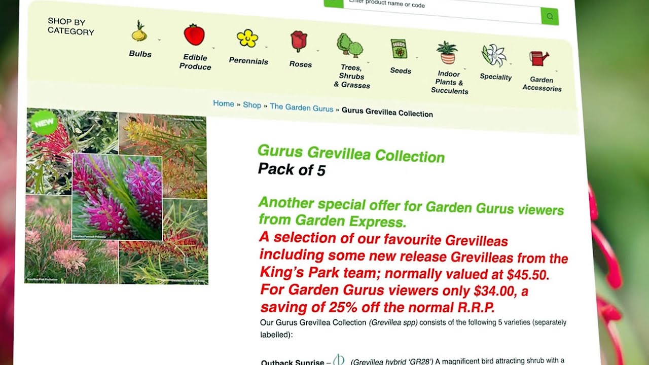 The Garden Gurus - Garden Express Grevillea Deal - YouTube