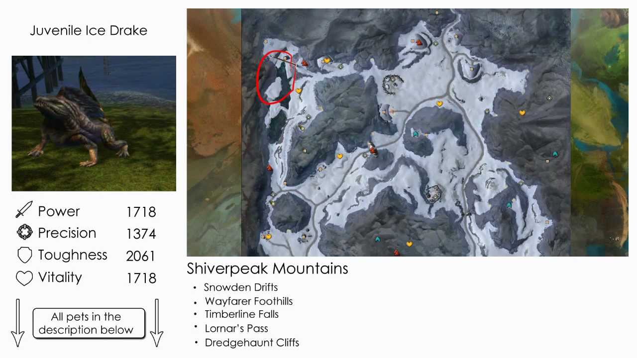Guild Wars 2 - Ranger Pets Location Guide - YouTube