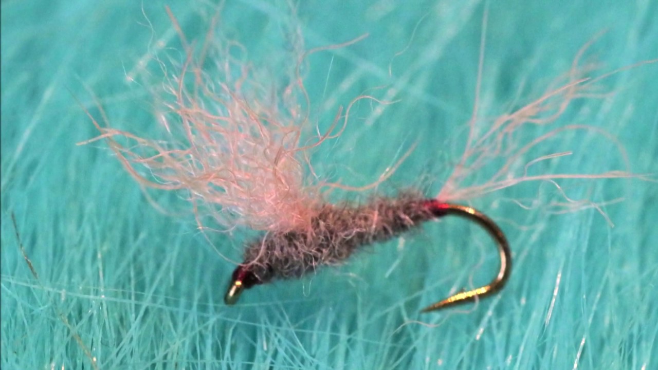 Tying an Iron Blue Usual with Martyn White (dry fly) - YouTube