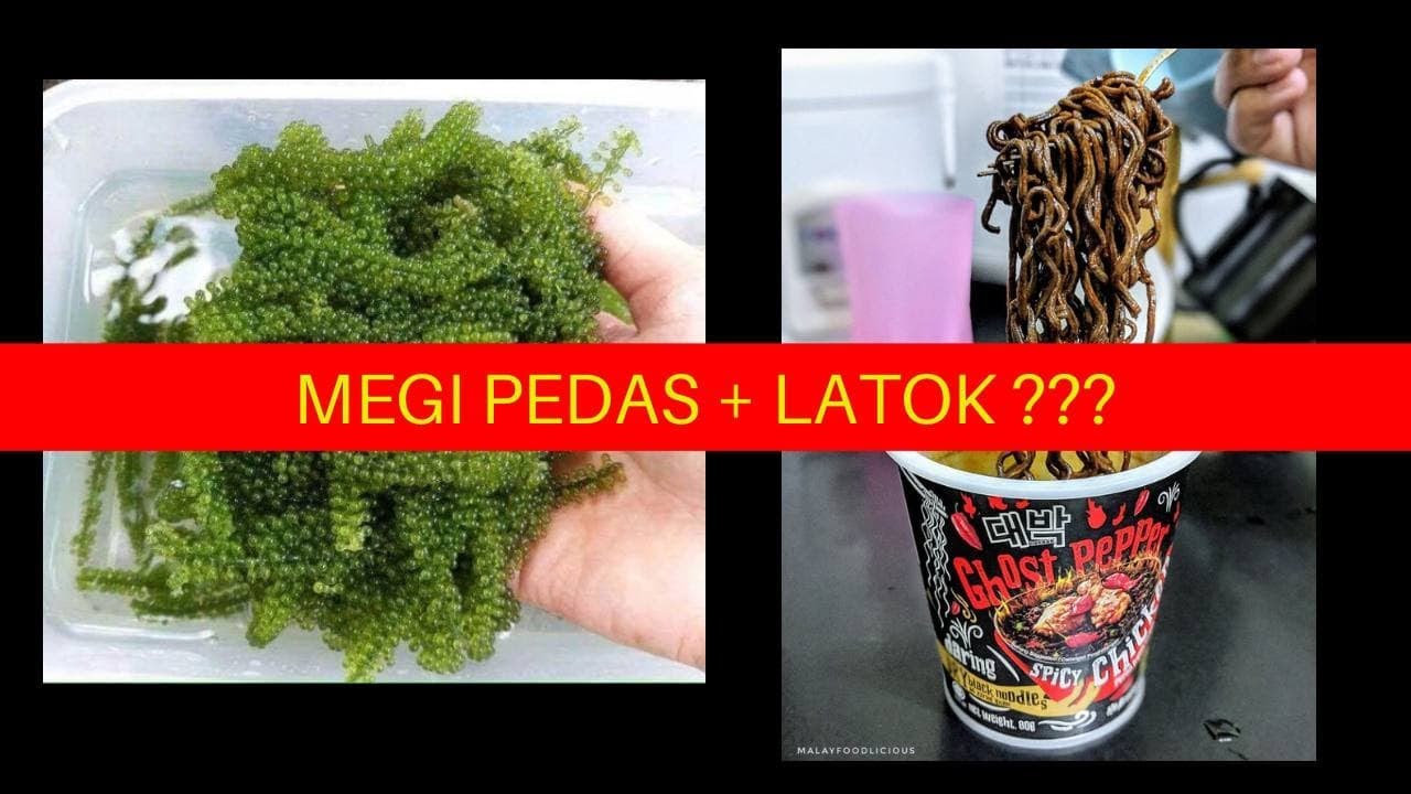 Megi Ghost Pepper + Latok !! BAHAYA - YouTube