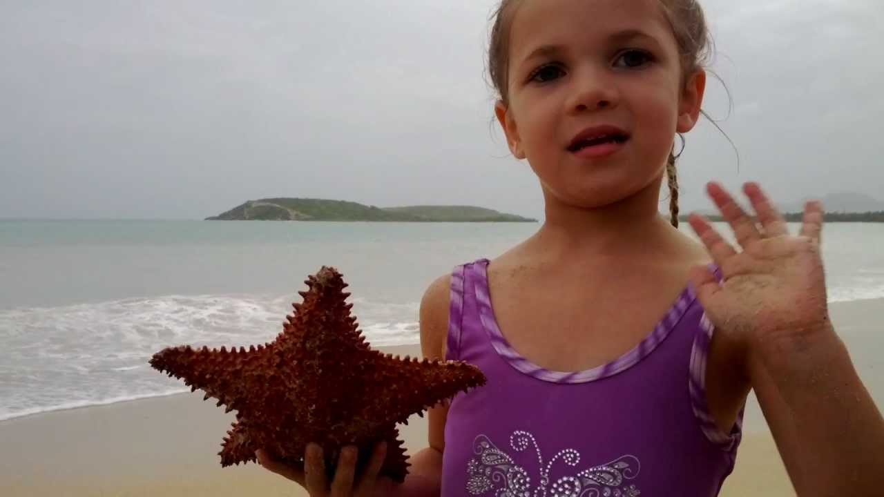 Emerald Gordon Wulf shows off a starfish - YouTube