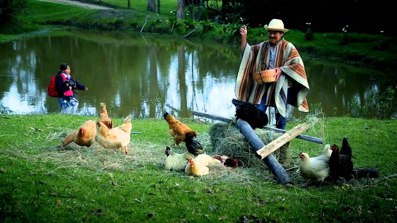 NATIBO-BID TODOS LOS NIÑOS CUENTAN - YouTube