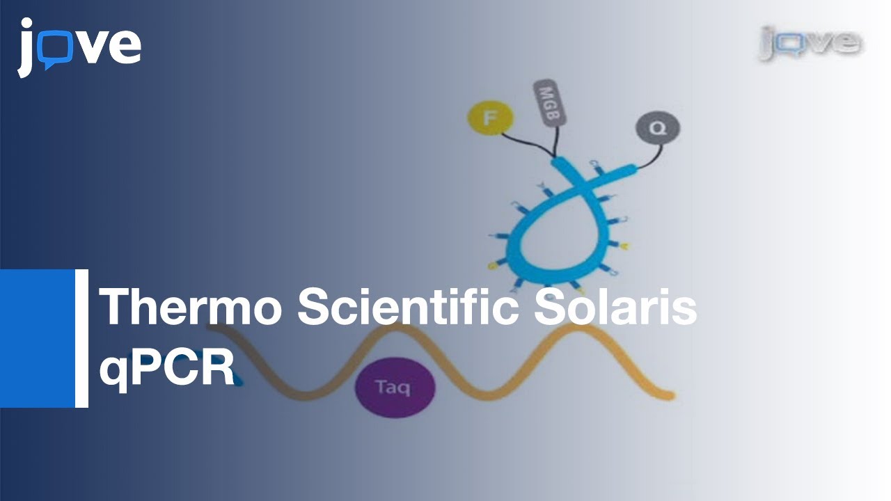 Quantitative Real-Time PCR Using Thermo Scientific Solaris qPCR Assay l ...