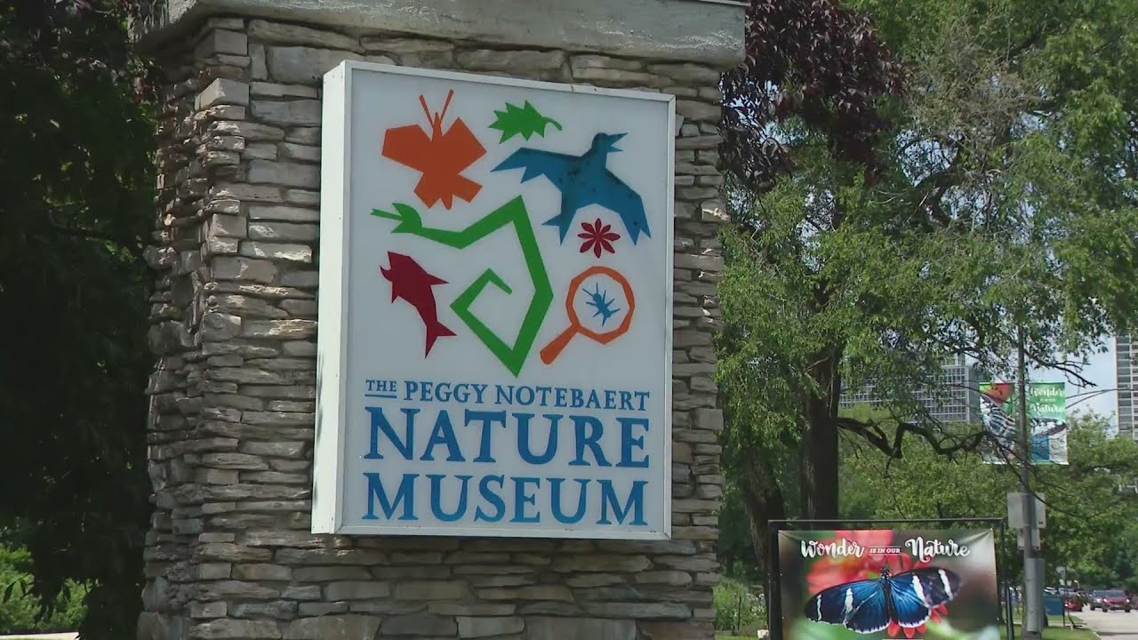 In evolving world, Peggy Notebaert Nature Museum a step back in time ...