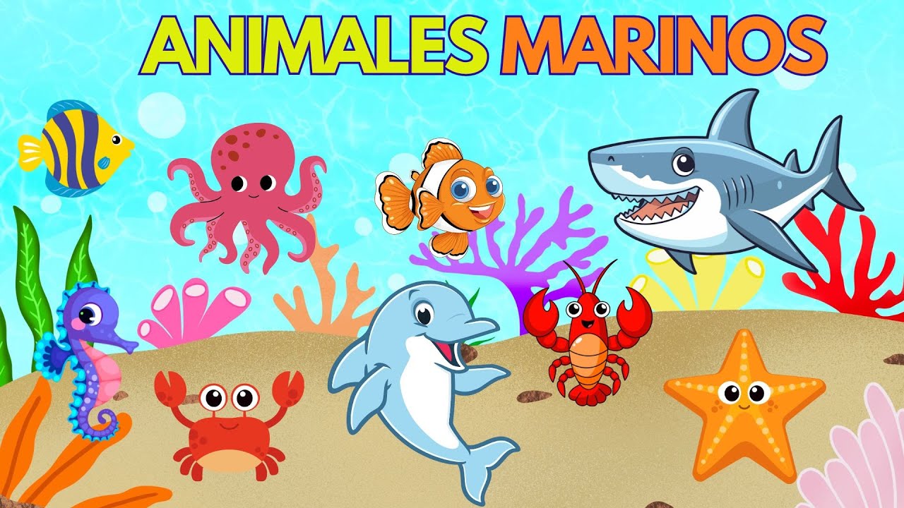 Explora el Mar! Conoce a los Animales Marinos Más Fascinantes 🐠🌊🐳 ...