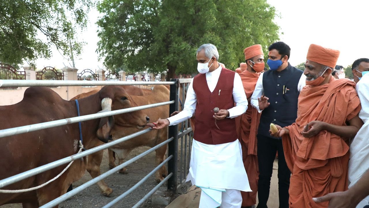 HIGHLIGHT || Acharya Devvrat Governor Of Gujarat | 07 March 2021 - YouTube