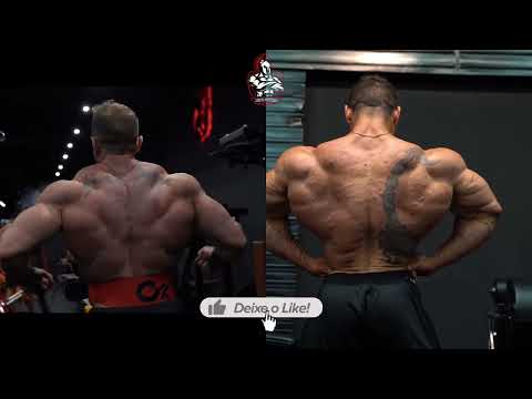 RAFAEL BRANDÃO E THIAGO LINS - COMPARAÇÃO DORSAL