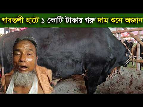 গাবতলী হাটে ১কোটি টাকার গরু দাম শুনে অজ্ঞান gabtoli haat cow