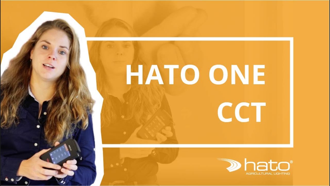 HATO ONE | CCT | ENGLISH - YouTube