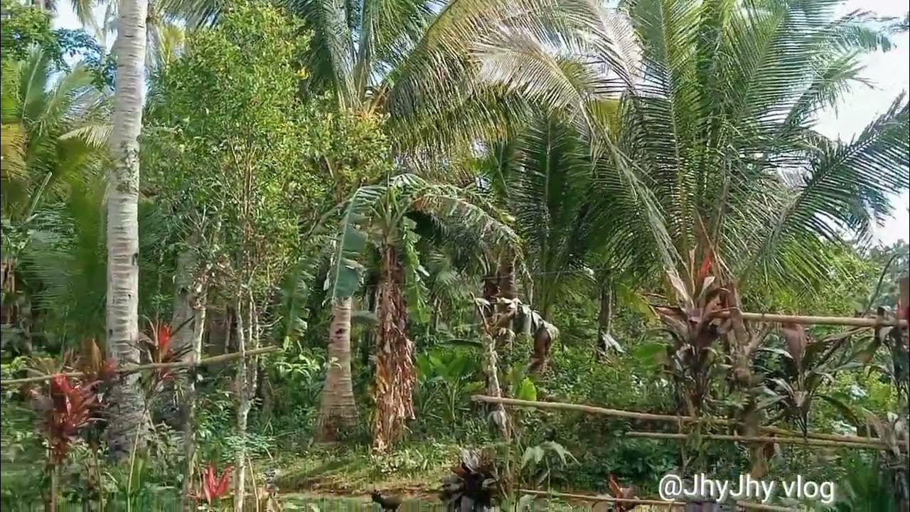 "It's a lovely day in boondocks"| JhyJhy vlog's - YouTube