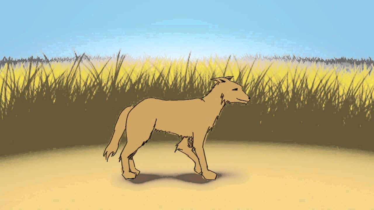 Coyote Animation - YouTube