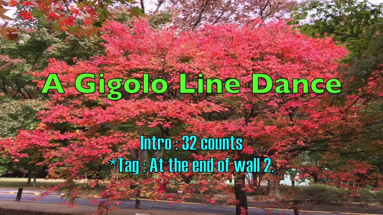 A Gigolo - Line Dance - YouTube