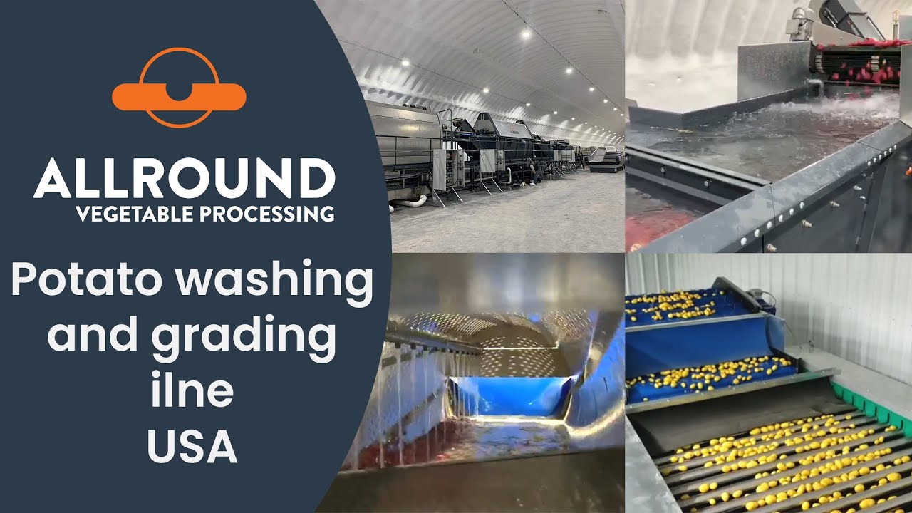 Potato washing and grading line | POT | USA | Allround Vegetable Processing - YouTube