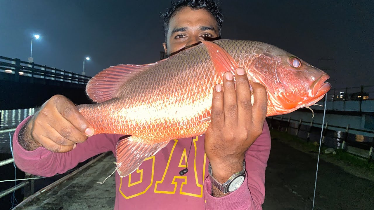 GIANT RED SNAPPER /BIG RED SNAPPER\പാലത്തിൽ ചൂണ്ട ഇടാൻ സ്ഥലം ഇല്ല - YouTube