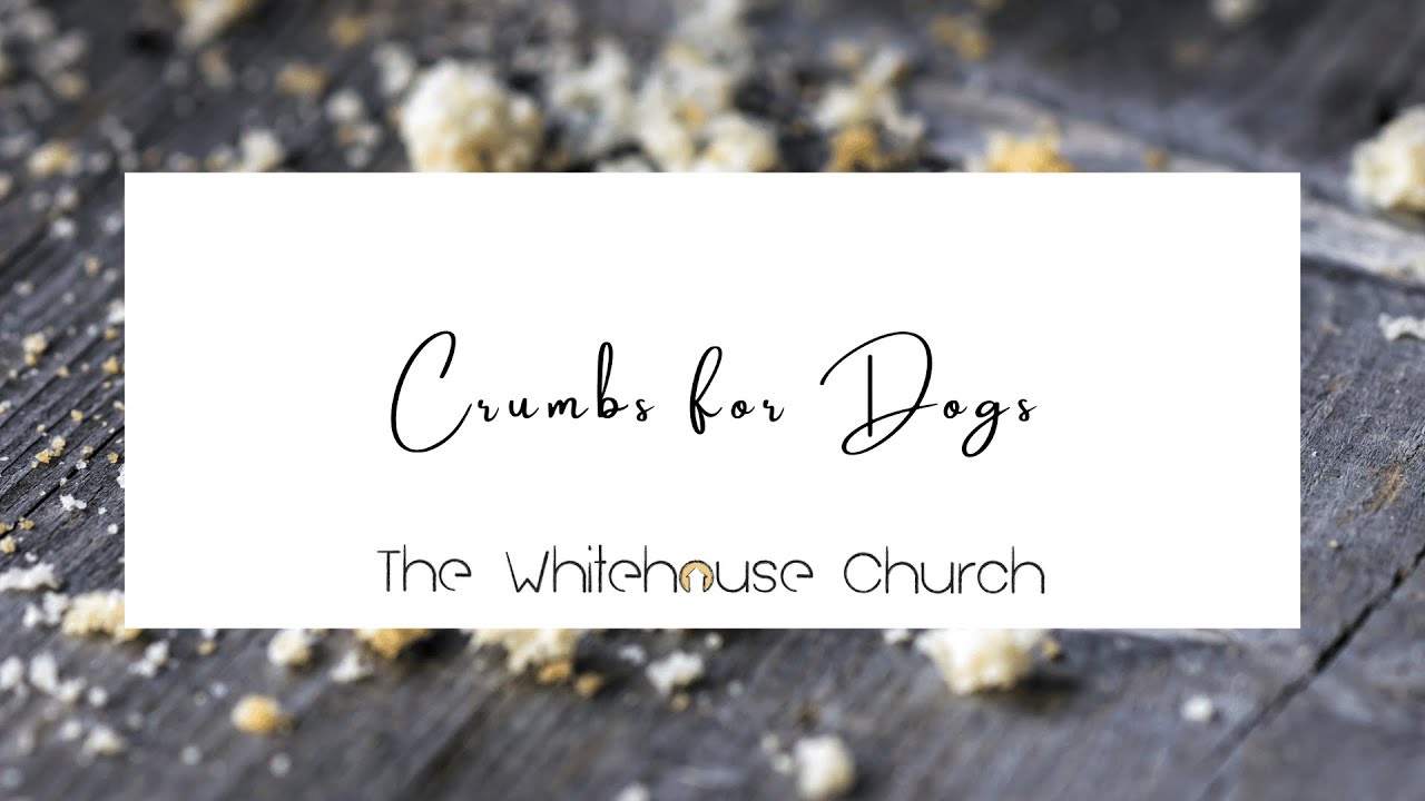 Crumbs for Dogs - YouTube