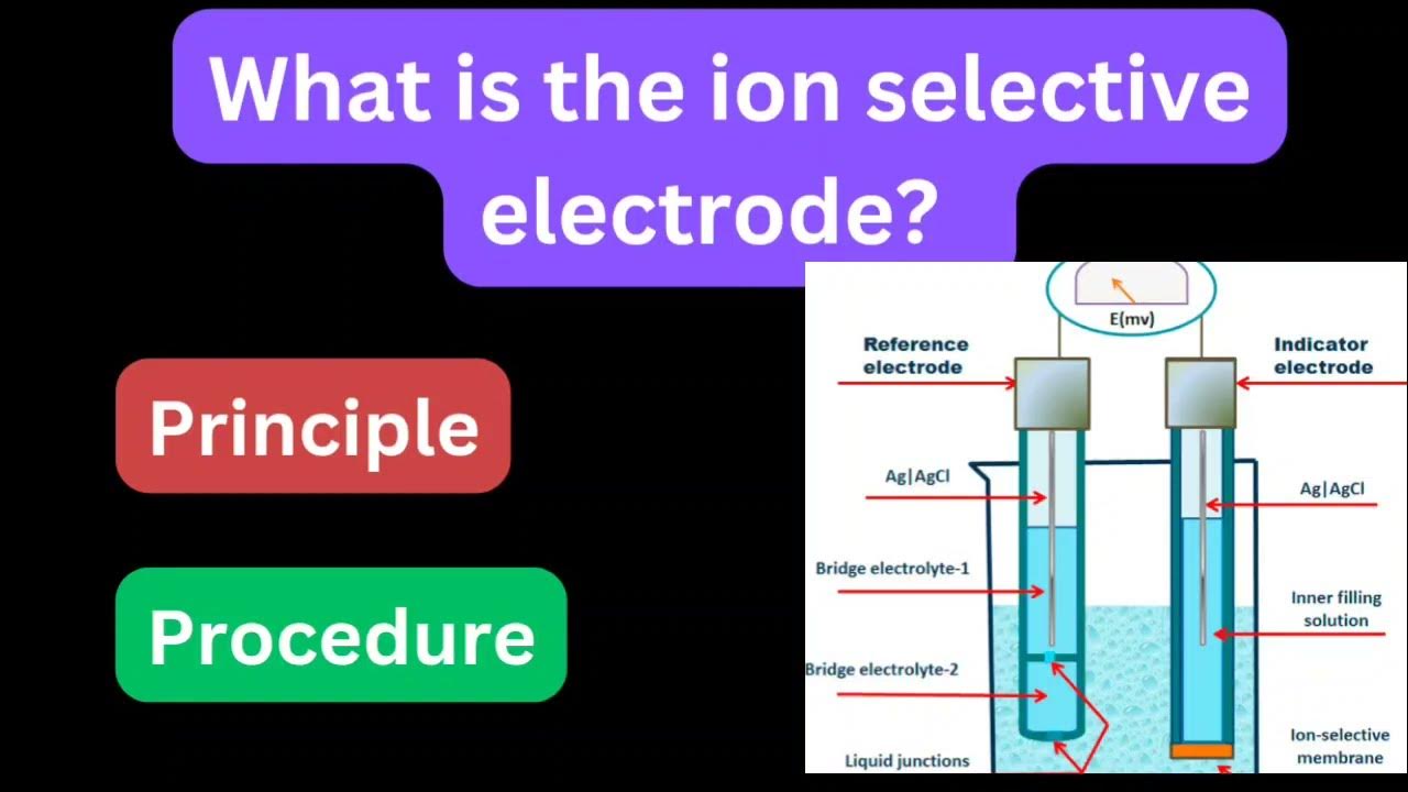 Ion selective electrode principle, procedure (ESE), types, diagram - YouTube