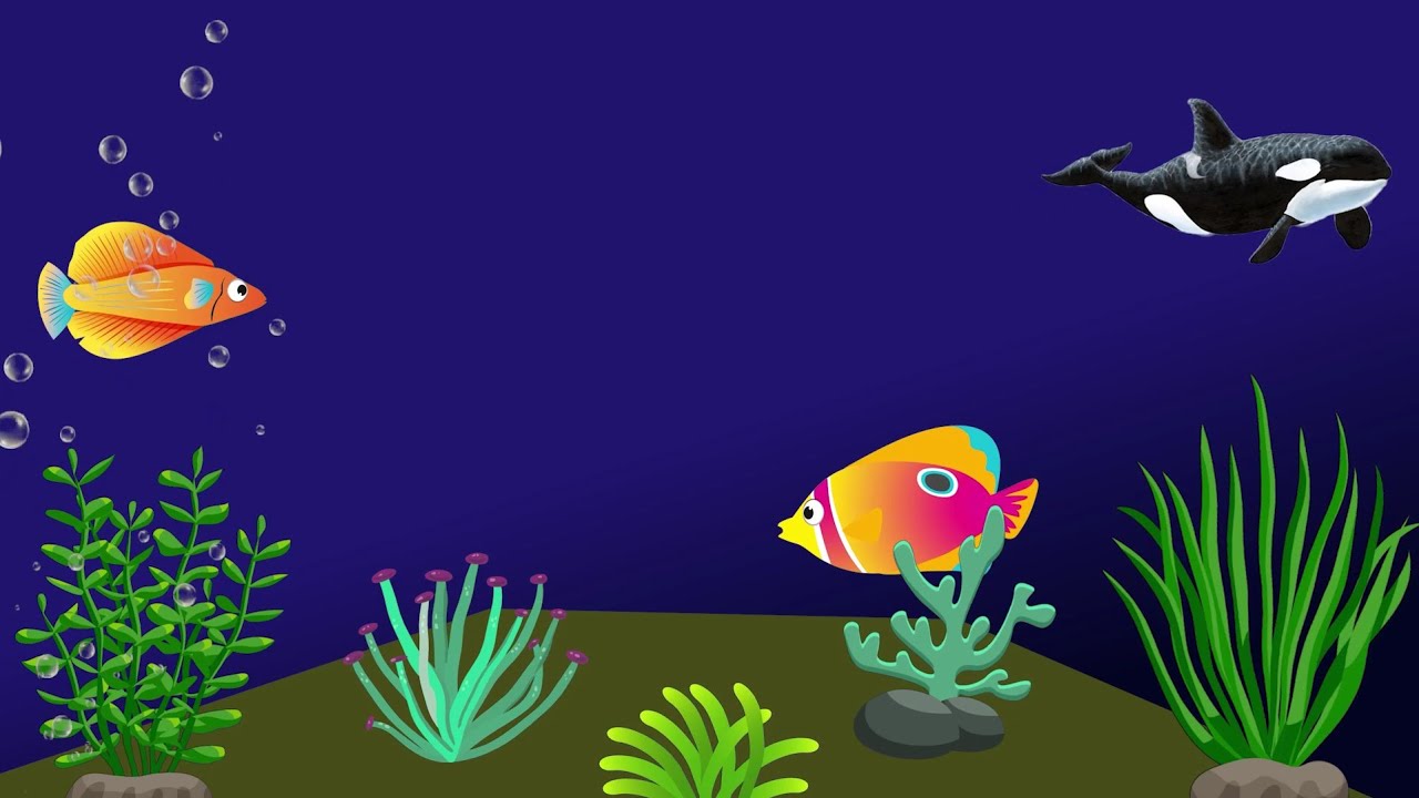 Bedtime Lullabies and Calming Undersea Animation Baby Lullaby Baby ...