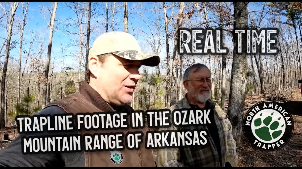 Ozark Mountain Range