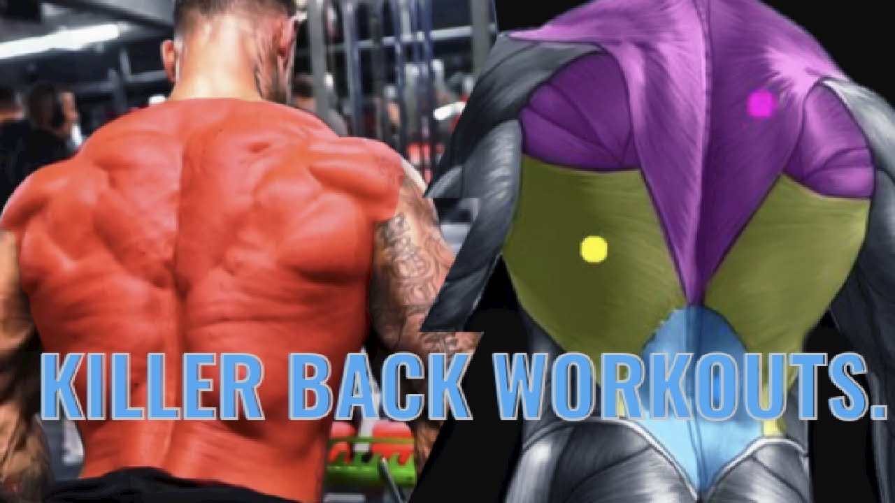 7 killer back Workouts. Mass gain Exercises for back. Build back ...