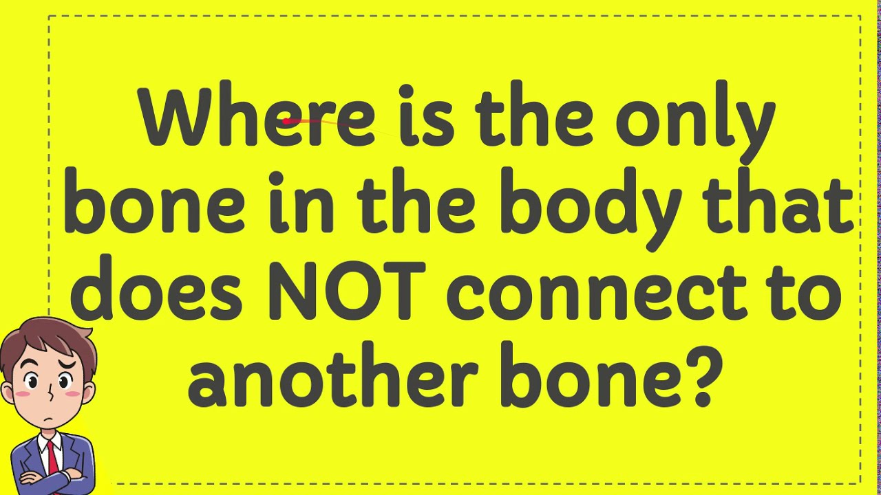 Where is the only bone in the body that does NOT connect to another ...
