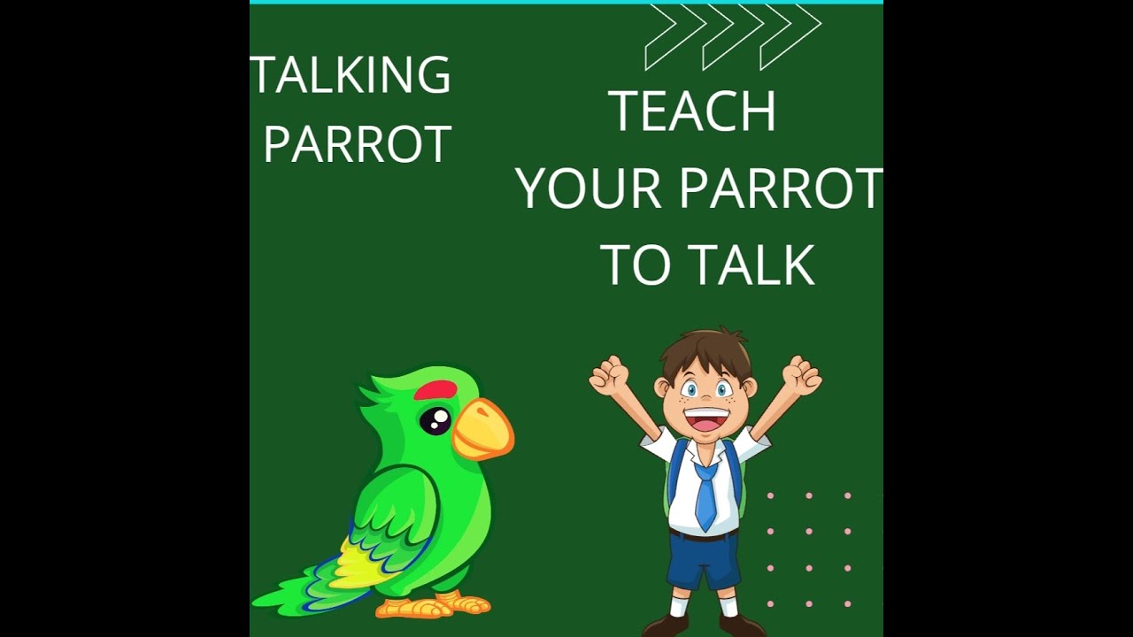 How to Train Parrot to talk || Learning Parrot|| Training || Talking ...