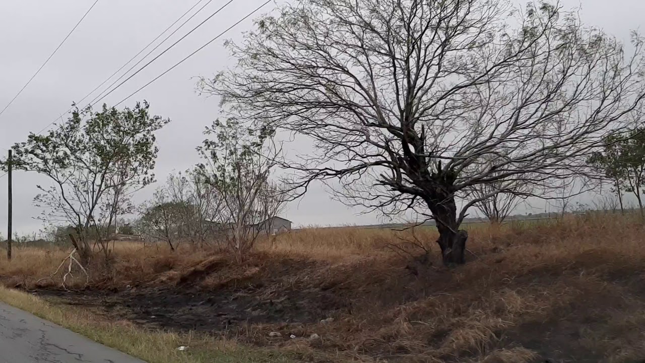 POBLADO ANAHUAC, TAM. POR QUE VOLVISTE A MI, por la brecha 126 - YouTube