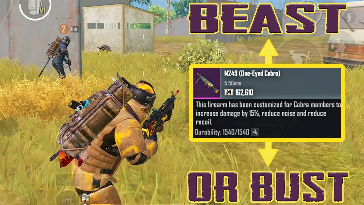 ONE EYED COBRA 249 - BEAST OR BUST? - YouTube