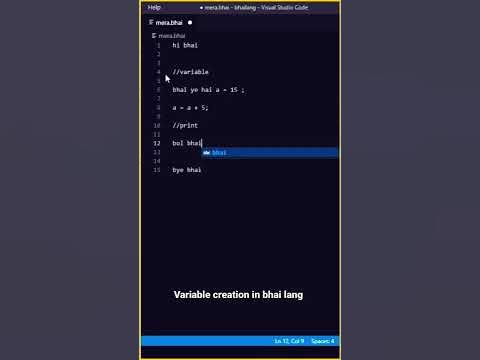 Learn Bhai Language in 1 min - 🔥😂 - bro code 👨🏻‍💻 tutorial #bhailang ...